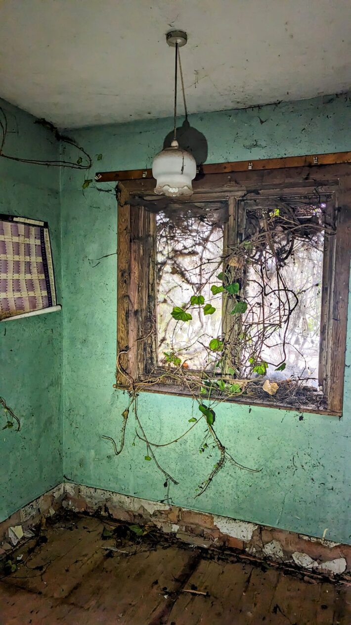 332 Spring Lane - Mapperley Plains - Mapperley People