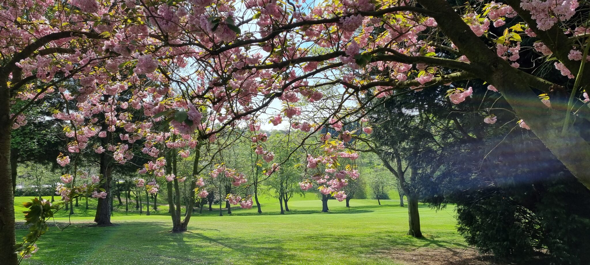 Mapperley Golf Course - An Uncertain Future - Mapperley People