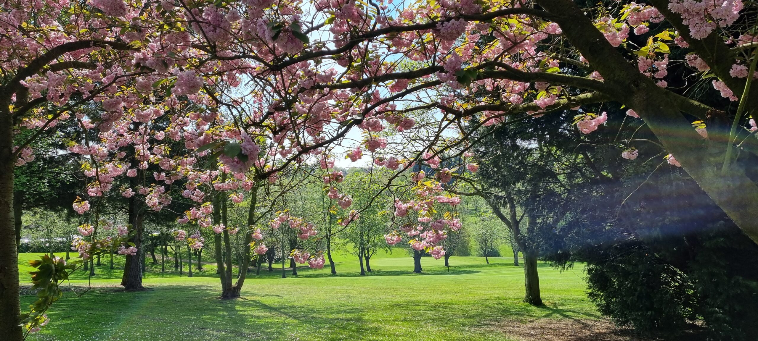 Mapperley Golf Course - An Uncertain Future - Mapperley People